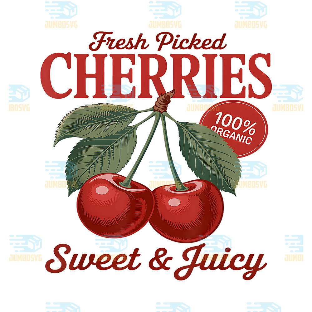 Fresh Picked Cherries Sweet And Juicy Png – JUMBOSVG