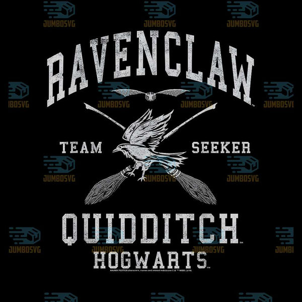 Harry Potter, Ravenclaw Quidditch Team Seeker, Hogwarts Png – JUMBOSVG